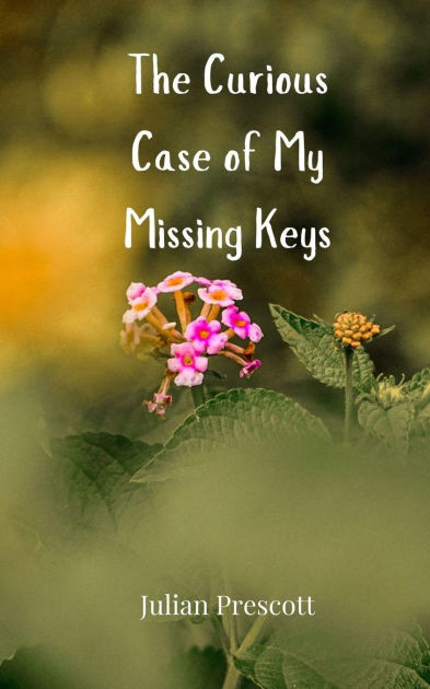 The Curious Case of My Missing Keys by Julian Prescott, Paperback ...
