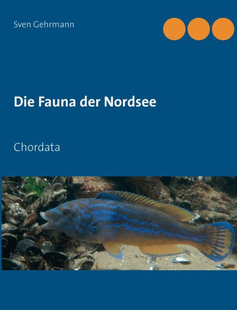 Die Fauna der Nordsee: Chordata by Sven Gehrmann, Paperback | Barnes ...