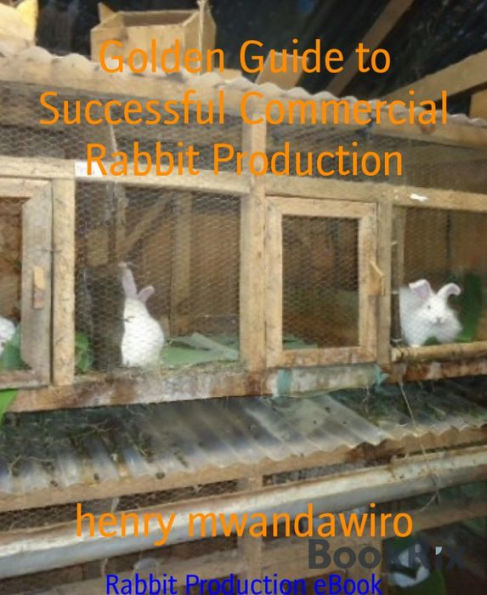 Golden Guide to Successful Commercial Rabbit Production: Rabbit ...