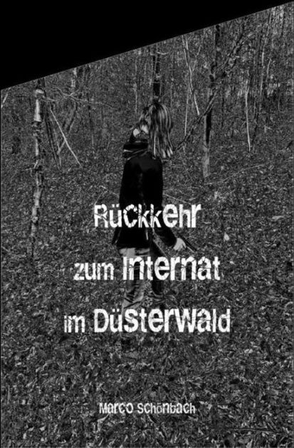 Rückkehr zum Internat im Düsterwald by Marco Schönbach | eBook | Barnes ...