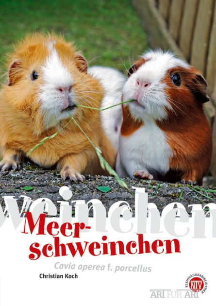 Meerschweinchen: Cavia aparea f. porcellus by Christian Koch | eBook ...