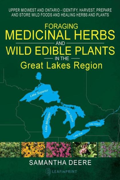 Foraging Medicinal Herbs and Wild Edible Plants in the Great Lakes ...