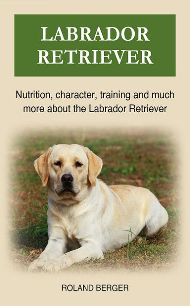 Labrador Retriever: Nutrition, character, training and much more about ...
