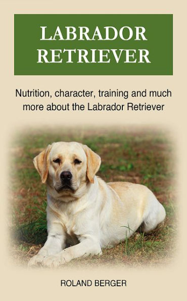 Labrador Retriever: Nutrition, character, training and much more about ...