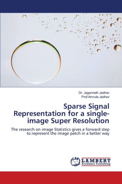 Barnes and Noble Sparse Signal Representation for a single-image Super Resolution | Mall of America®