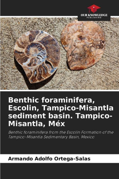Benthic foraminifera, Escolin, Tampico-Misantla sediment basin. Tampico ...