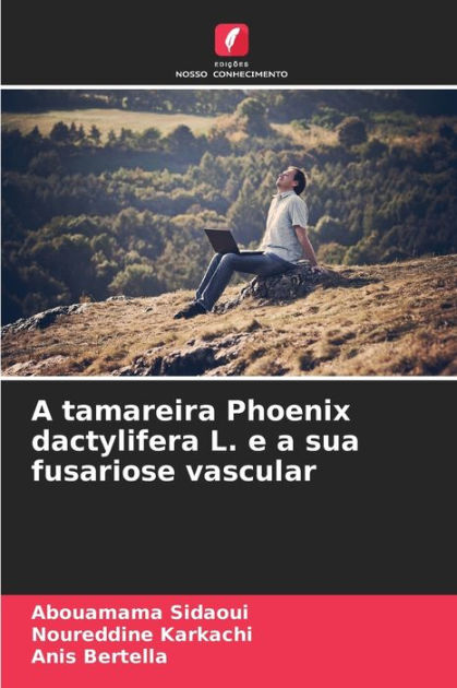 A tamareira Phoenix dactylifera L. e a sua fusariose vascular by ...