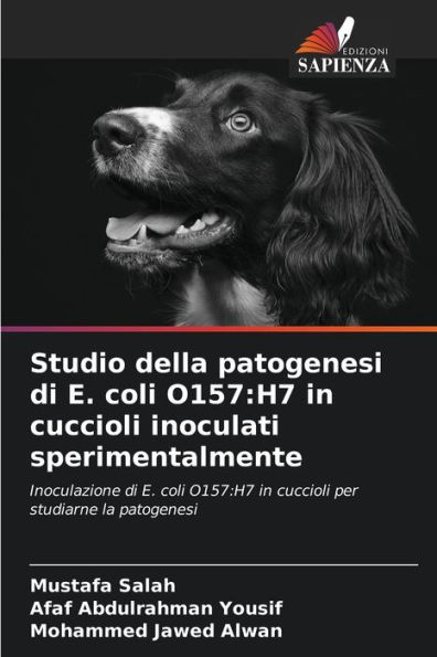 Studio della patogenesi di E. coli O157: H7 in cuccioli inoculati ...
