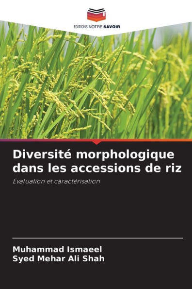 Diversitï¿½ morphologique dans les accessions de riz by Muhammad ...