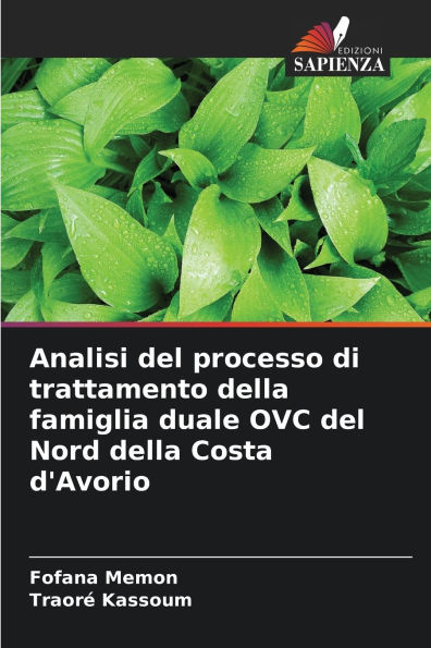 Analisi del processo di trattamento della famiglia duale OVC del Nord ...