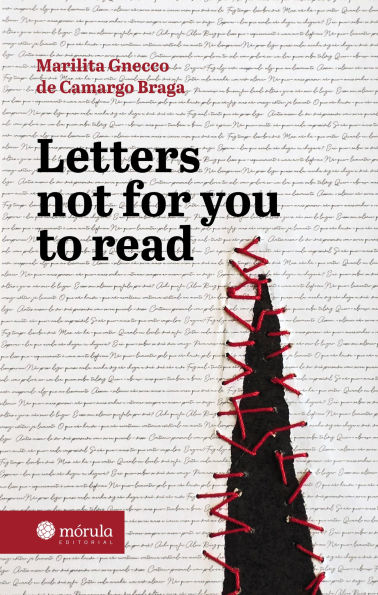 Letters not for you to read by Marilita Gnecco de Camargo Braga | eBook ...