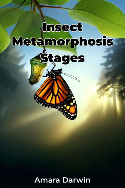 Insect Metamorphosis Stages by Amara Darwin, AI | eBook | Barnes & Noble®