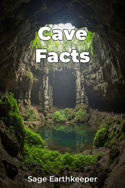 Cave Facts by Sage Earthkeeper, AI | eBook | Barnes & Noble®