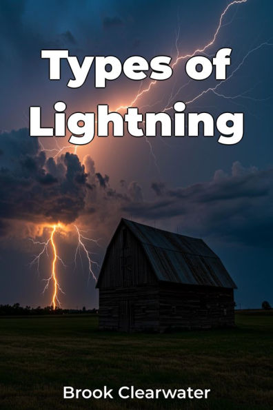 Types of Lightning by Brook Clearwater, AI | eBook | Barnes & Noble®