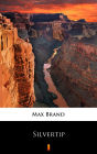 Silvertip by Max Brand | eBook | Barnes & Noble®