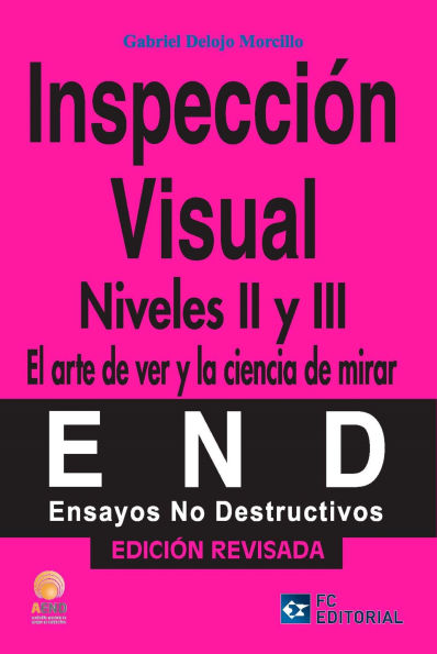 Inspección visual. Niveles II y III: El arte de ver y la ciencia de mirar by Gabriel Del Ojo ...