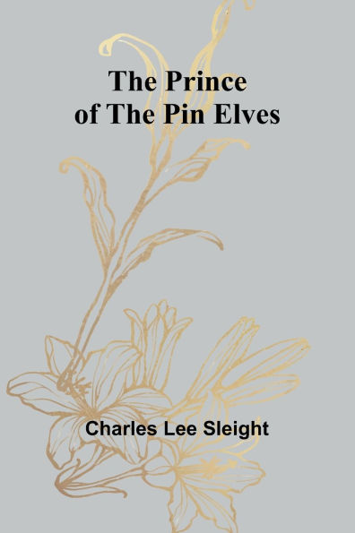 The Prince of the Pin Elves by Charles Lee Sleight, Paperback | Barnes ...