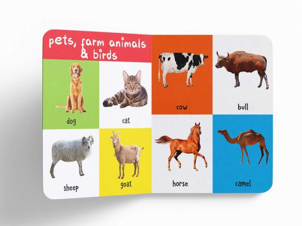 My First 100 Animals And Birds: Padded Board Books by Wonder House ...