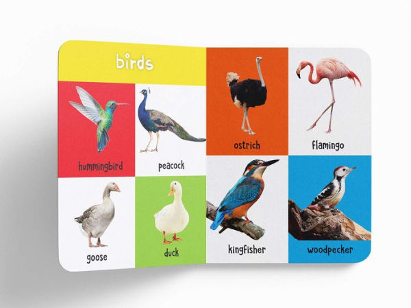 My First 100 Animals And Birds: Padded Board Books by Wonder House ...
