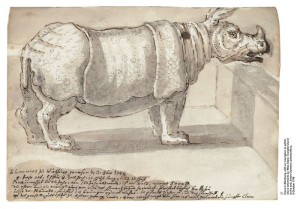 Clara the Rhinoceros by Gijs van der Ham, Paperback | Barnes & Noble®