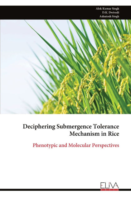 Deciphering Submergence Tolerance Mechanism in Rice: Phenotypic and ...