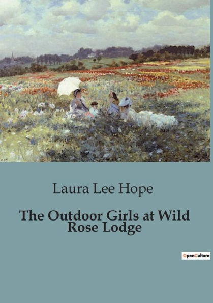 The Outdoor Girls at Wild Rose Lodge by Laura Lee Hope, Paperback ...