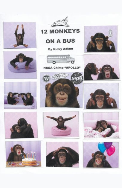 Twelve Monkeys on a Bus by Ricky Adlam, Paperback | Barnes & Noble®