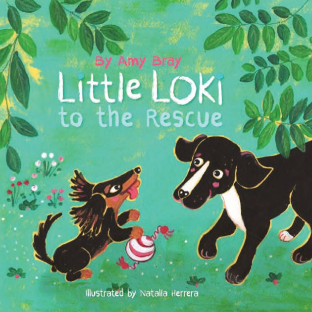 Little Loki to the Rescue by Amy Bray, Paperback | Barnes & Noble®