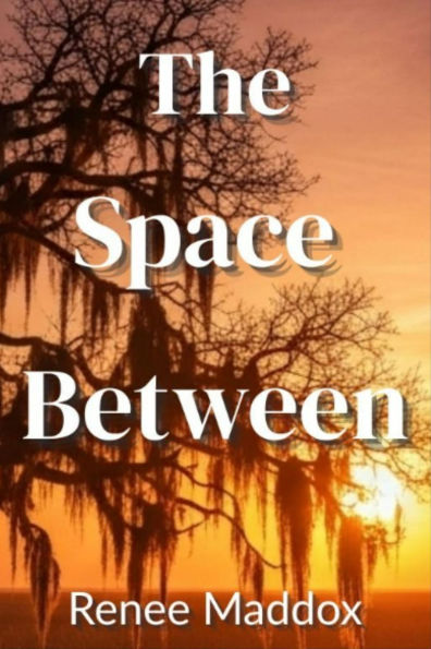 The Space Between by Renée Maddox | eBook | Barnes & Noble®