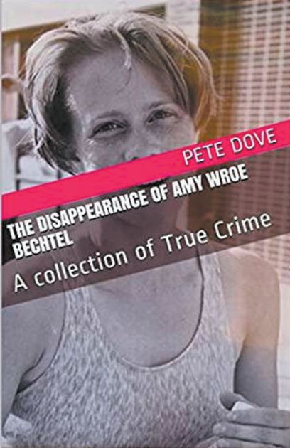 The Disappearance of Amy Wroe Bechtel by Pete Dove, Paperback | Barnes ...
