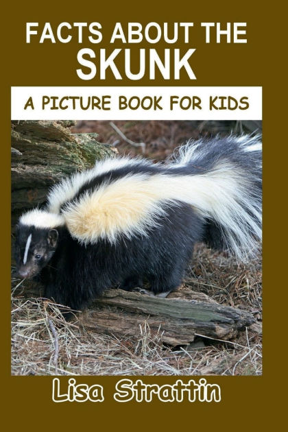 Facts About the Skunk by Lisa Strattin, Paperback | Barnes & Noble®