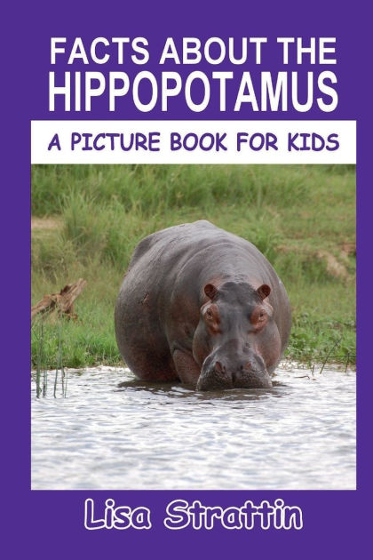 Facts About the Hippopotamus by Lisa Strattin, Paperback | Barnes & Noble®