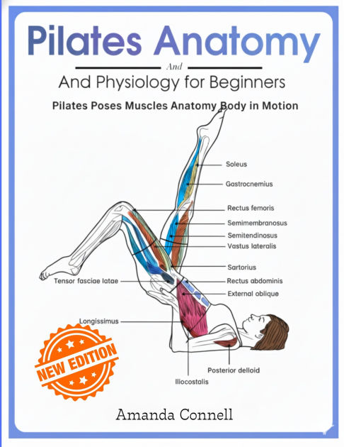 Pilates Anatomy And Physiology for Beginners: Pilates Poses Muscles ...