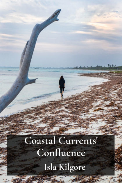 Coastal Currents' Confluence: A Photographic Journey Through Tidal ...