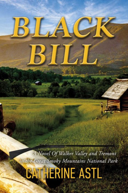 Black Bill: A Novel Of Walker Valley and Tremont in the Great Smoky ...