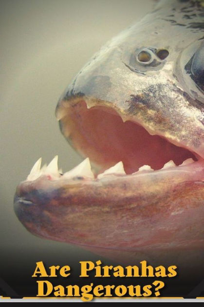ARE PIRANHAS DANGEROUS?: FACTS ABOUT PIRANHA ATTACKS ON HUMANS by Jason ...