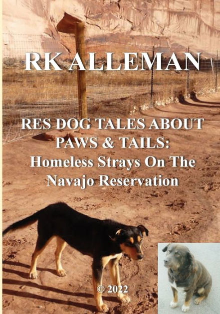 RES DOG TALES ABOUT PAWS & TAILS: :Homeless Stays On The Navajo ...