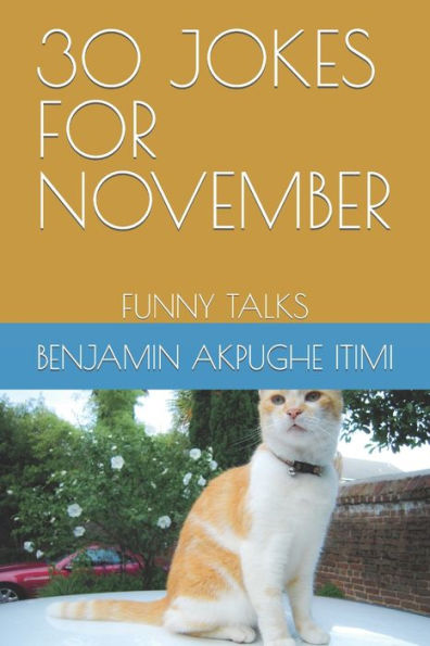 30 JOKES FOR NOVEMBER: FUNNY TALKS by BENJAMIN AKPUGHE ITIMI, Paperback ...