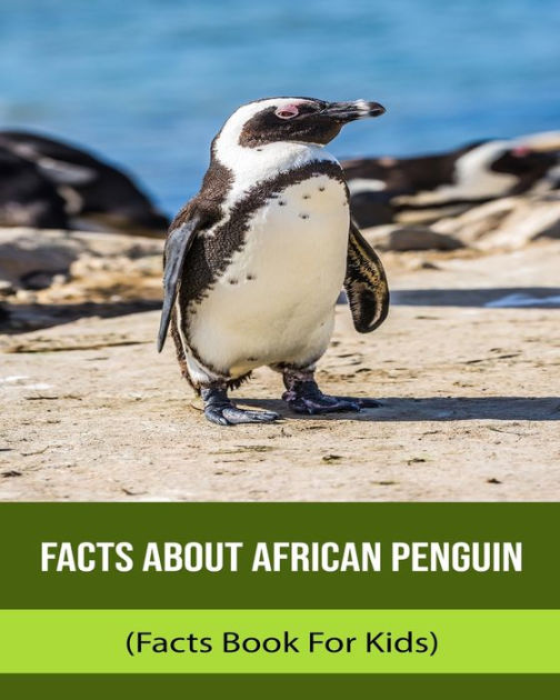 Facts About African Penguin (Facts Book For Kids) by Lina Raol ...
