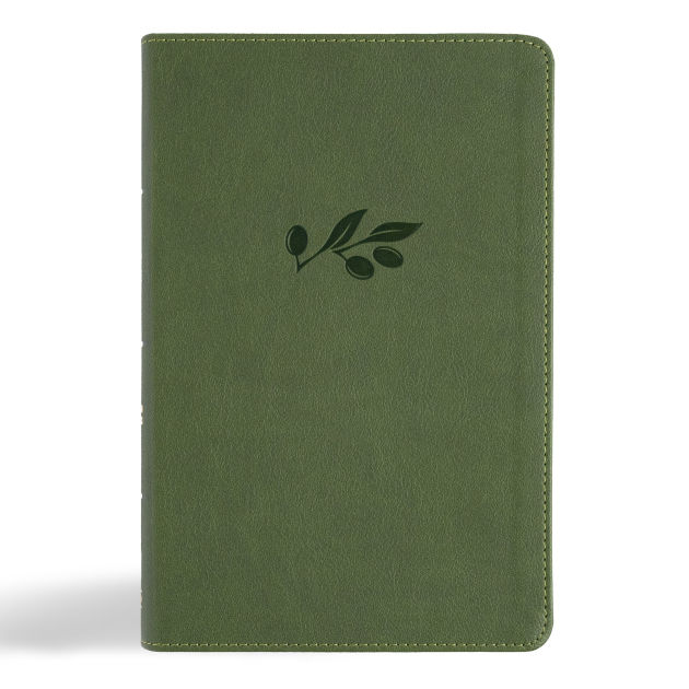 CSB Large Print Personal Size Reference Bible, Digital Study Edition ...