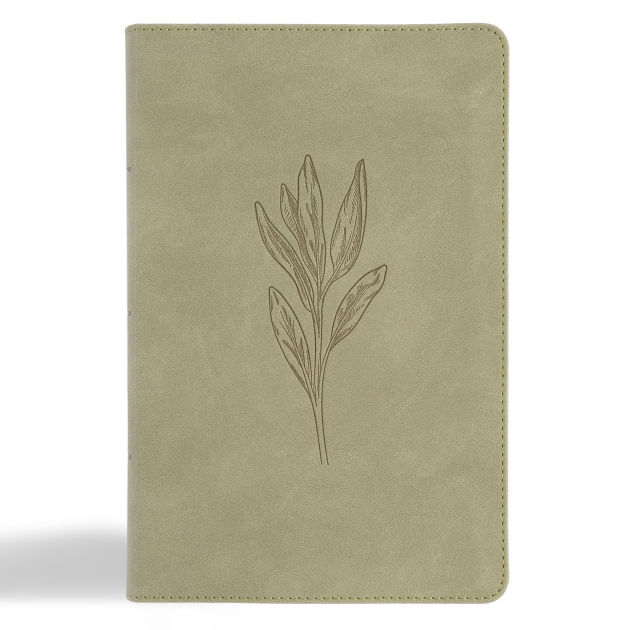 CSB Large Print Personal Size Reference Bible, Digital Study Edition ...