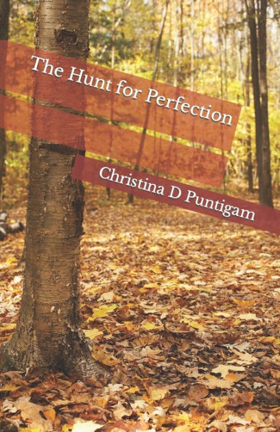 The Hunt for Perfection by Christina D Puntigam, Paperback | Barnes ...