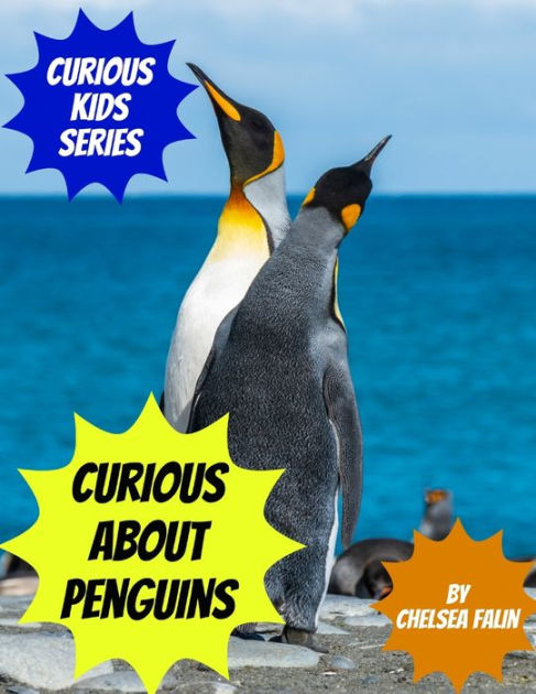 Curious About Penguins by Chelsea Falin, Paperback | Barnes & Noble®