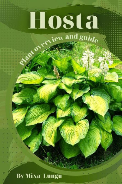 Hosta: Plant overview and guide by Mixa Lungu, Paperback | Barnes & Noble®