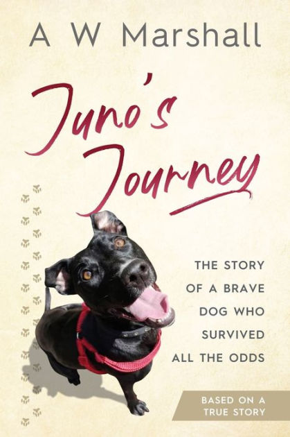 Juno's Journey by Alexander William Marshall, Paperback | Barnes & Noble®