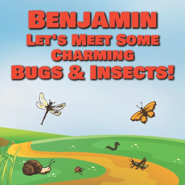Benjamin Let's Meet Some Charming Bugs & Insects!: Personalized Books ...