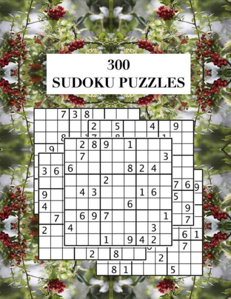 300 SUDOKU PUZZLES: Answers Included, Large Print, 8.5 x 11in ...