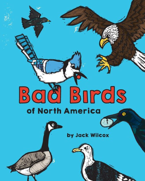 Bad Birds of North America by Jack Wilcox, Paperback | Barnes & Noble®