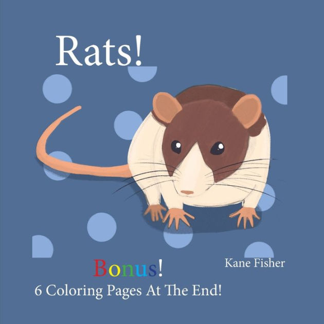 Rats!: A Book For Toddlers by Kane Fisher, Paperback | Barnes & Noble®