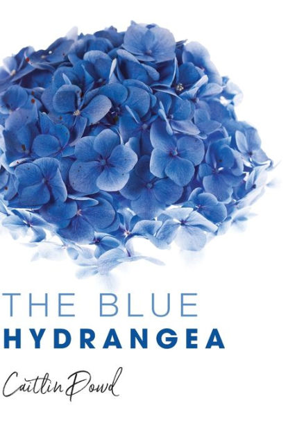 The Blue Hydrangea by Caitlin Dowd, Paperback | Barnes & Noble®
